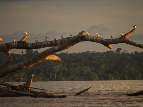 Departamento del Beni