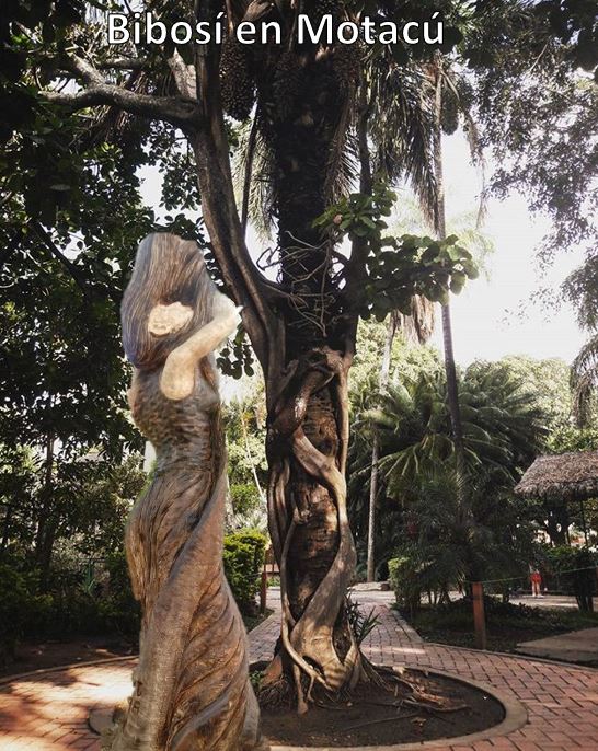 Bibosí en Motacú